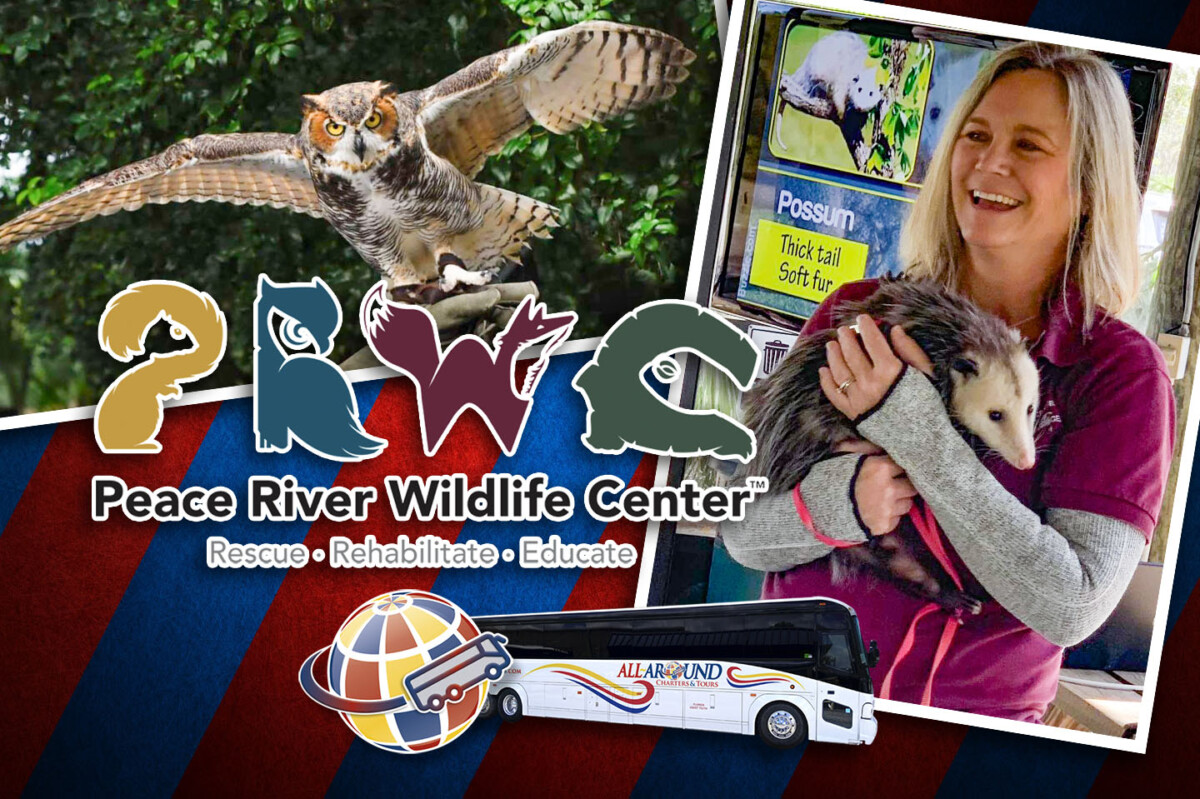 Day Trip Archives - All Around Charters